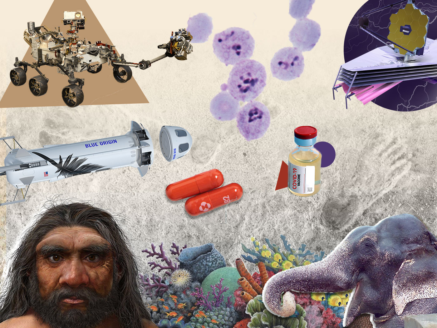 Design – Meilan Solly